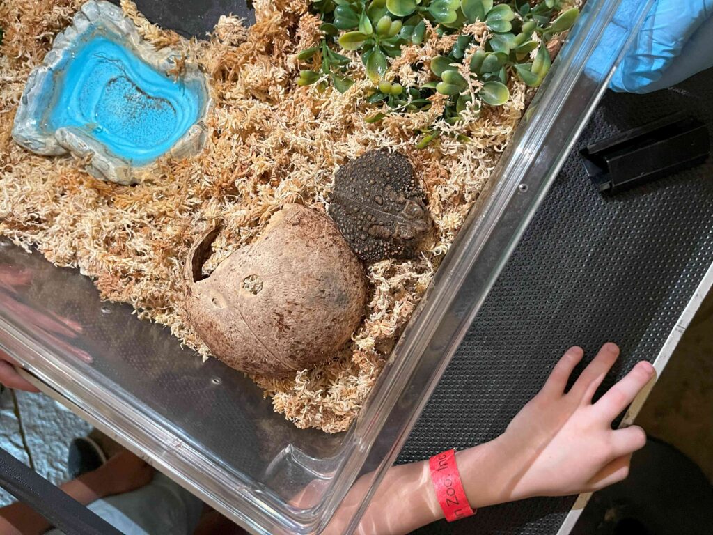 Koch Modular is Wild About Work-Life Balance - Koch Modular Process System